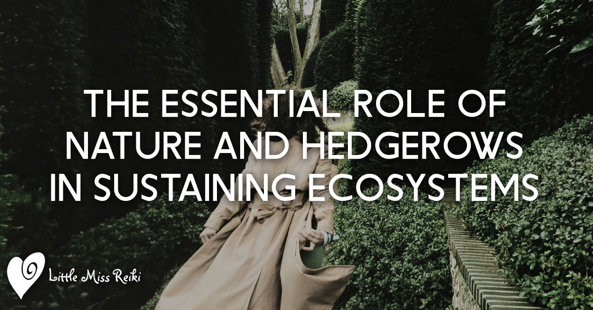 The Essential Role of Nature and Hedgerows in Sustaining Ecosystems